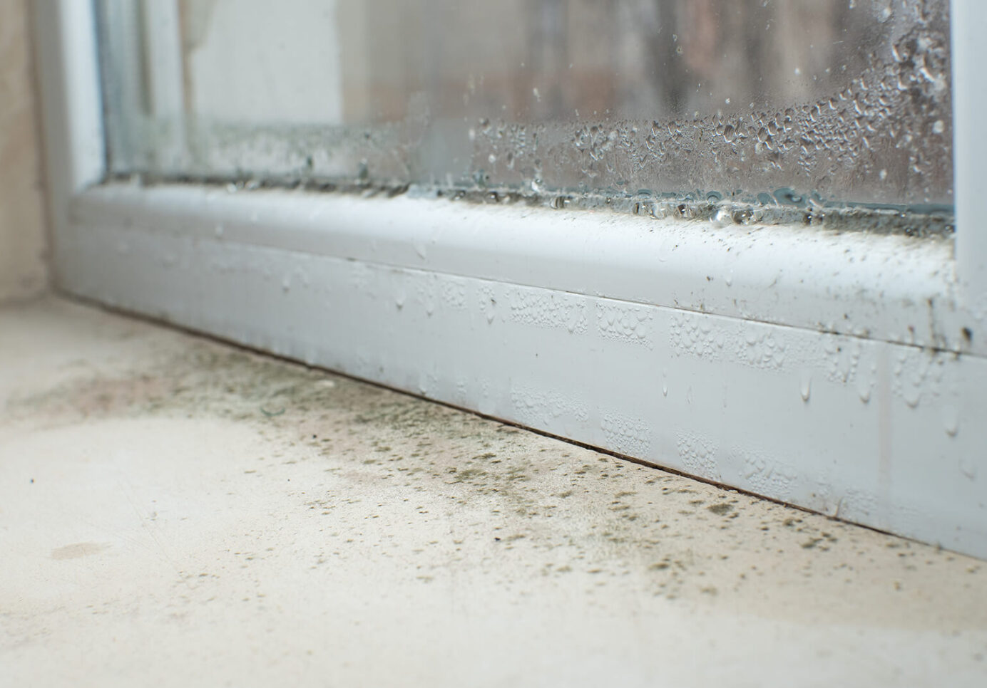 Damp and mould - Understanding the root causes - UKALA