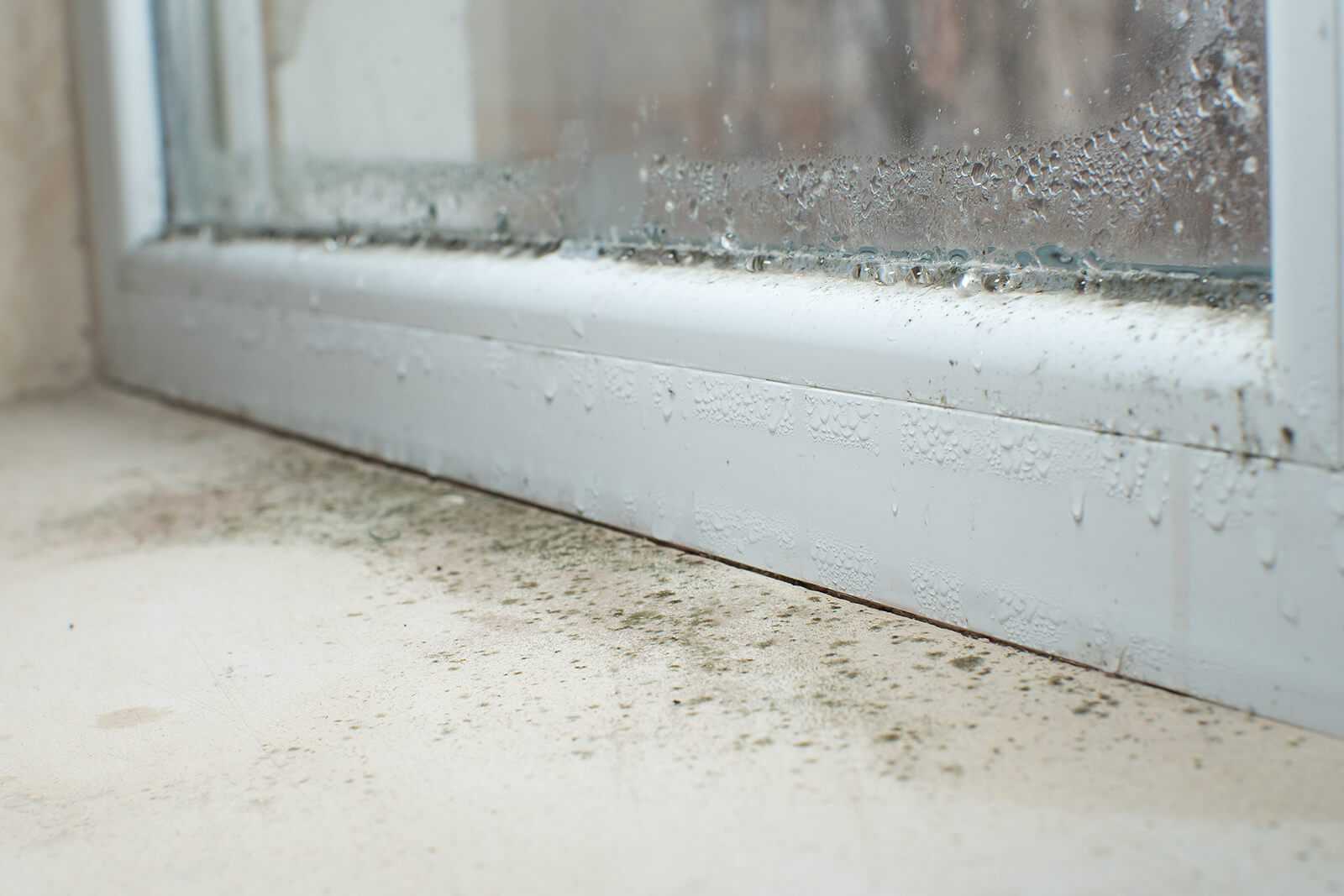 Damp and mould - Understanding the root causes - UKALA
